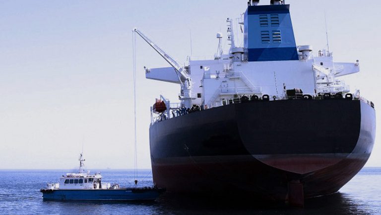 Flamingo Shipping Agency LLC